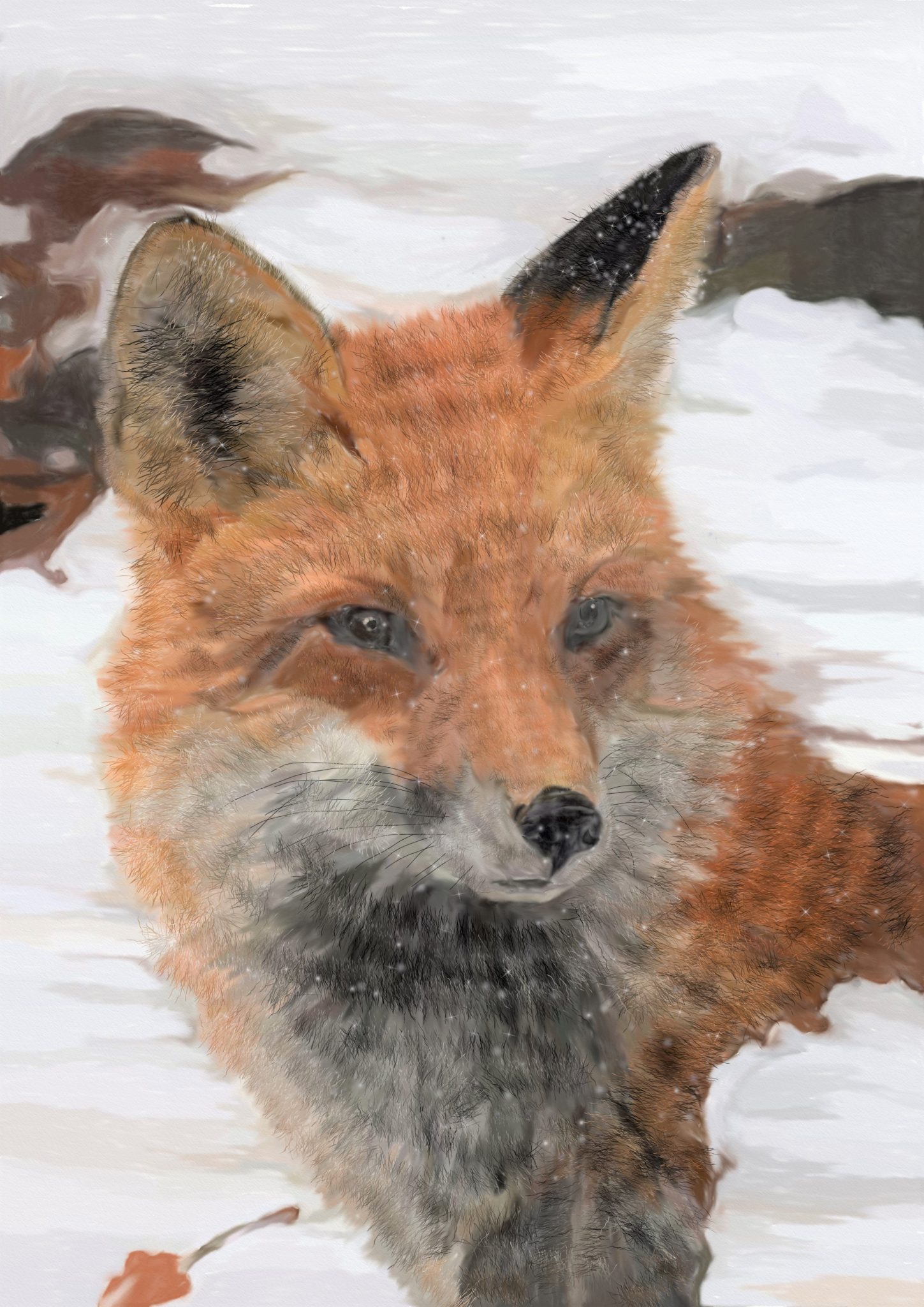 Fox in Snow - Val Hughes - Words & Art
